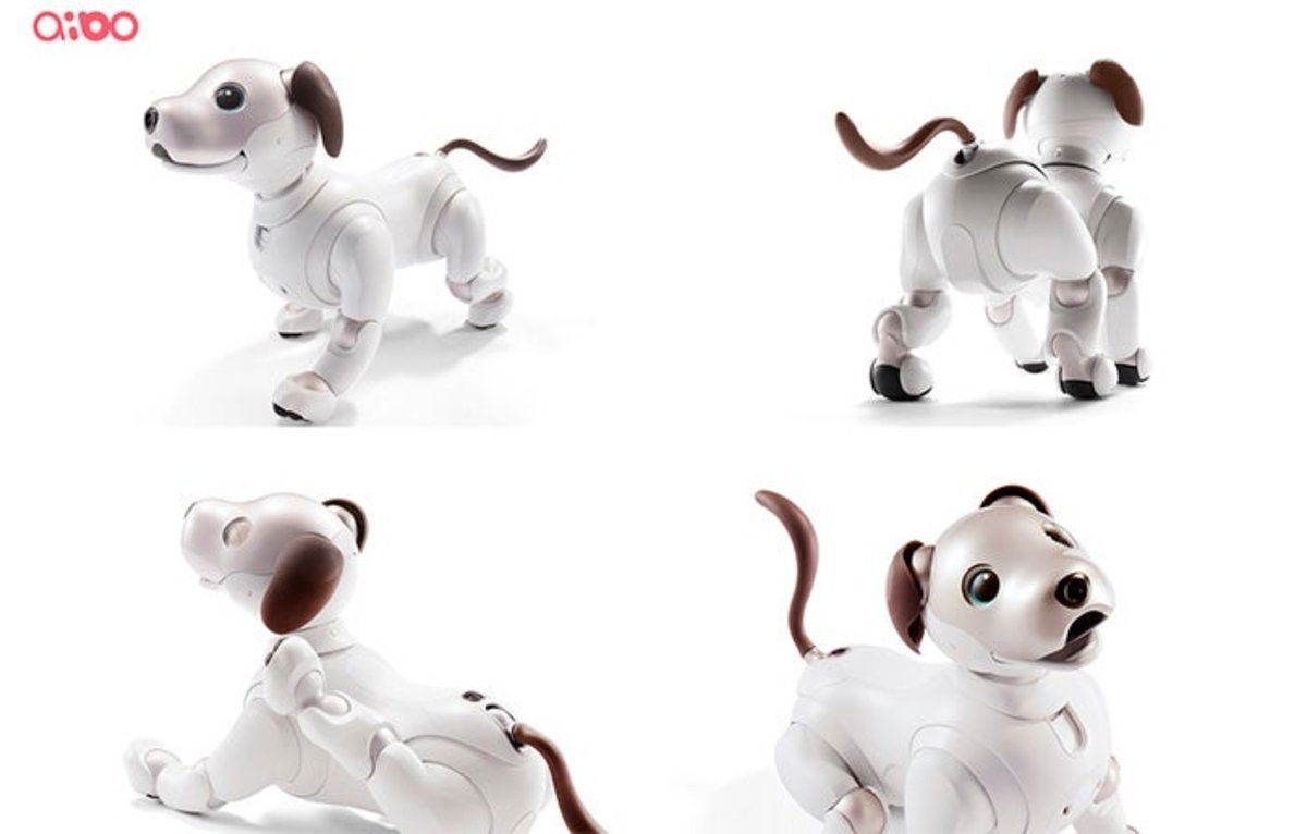 Sony presenta a Aibo, la mascota más 'geek' que te costará un ojo de la cara