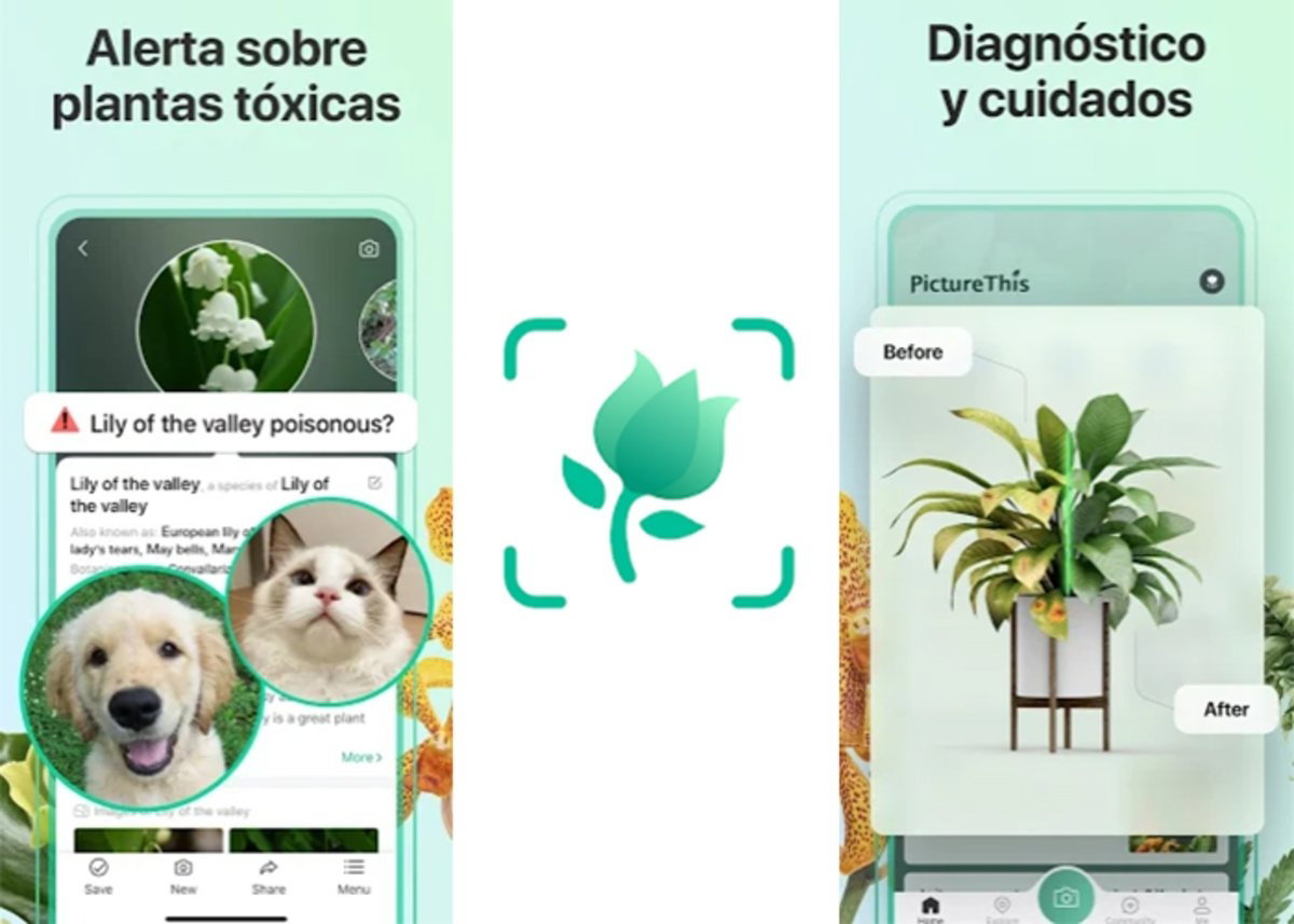 7 Buenas Apps Para Identificar Plantas Medicinales Con El M vil 7-buenas-apps-para-identificar-plantas-medicinales-con-el-m-vil