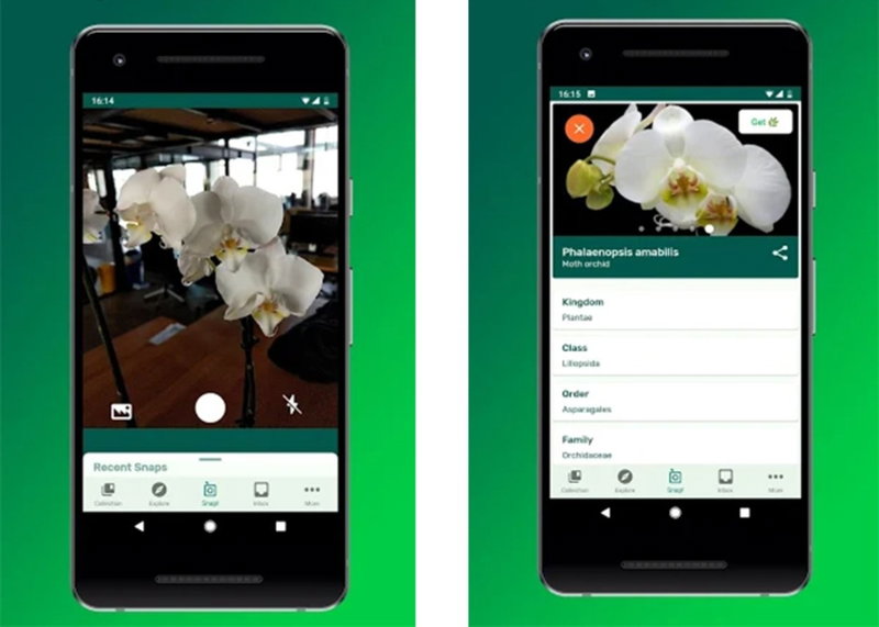 7 Buenas Apps Para Identificar Plantas Medicinales Con El M vil 7-buenas-apps-para-identificar-plantas-medicinales-con-el-m-vil