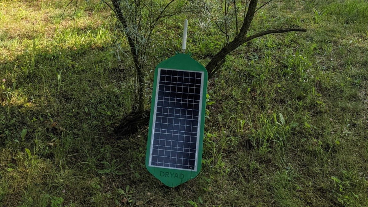 Estos sensores son capaces de detectar incendios en los bosques antes ...