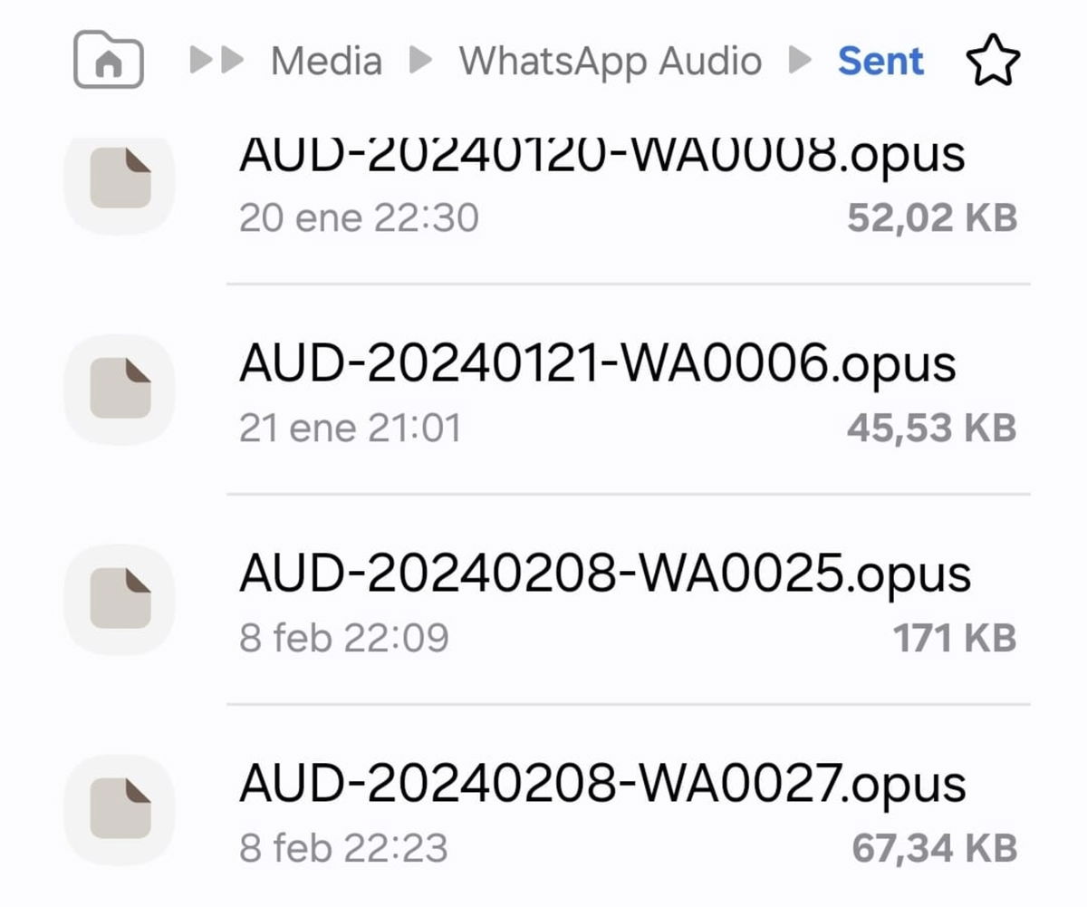 Dónde se guardan los audios de WhatsApp en el móvil