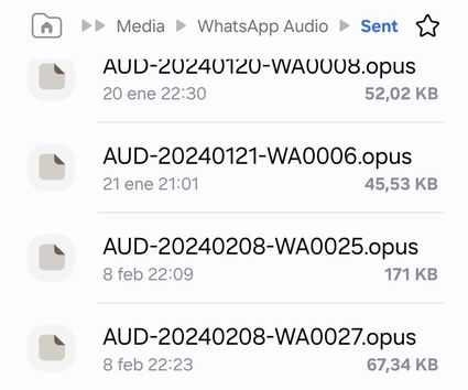 Dónde se guardan los audios de WhatsApp en el móvil