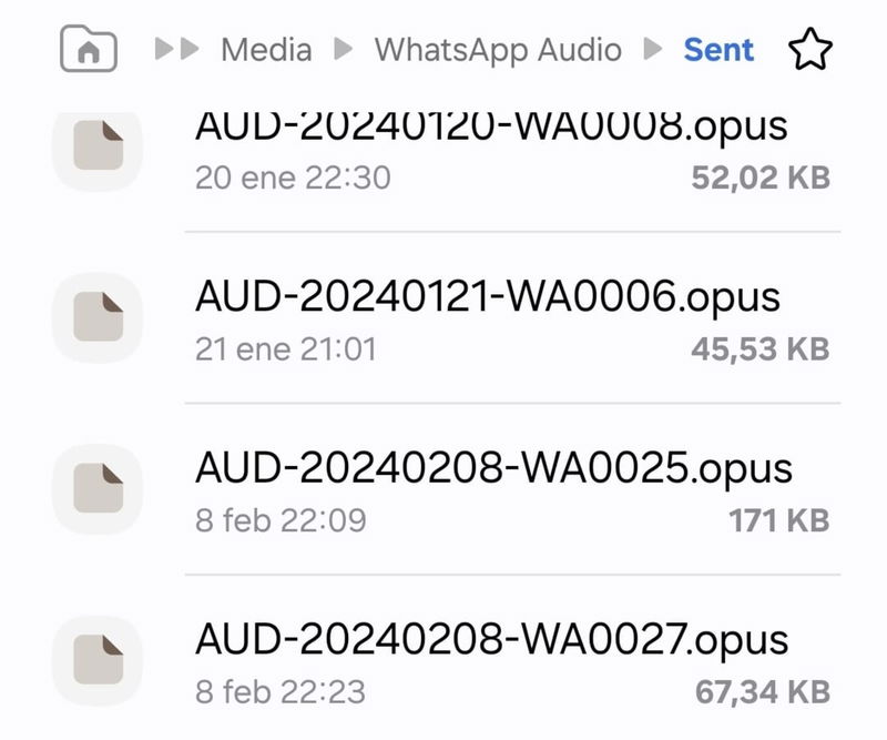 Dónde se guardan los audios de WhatsApp en el móvil